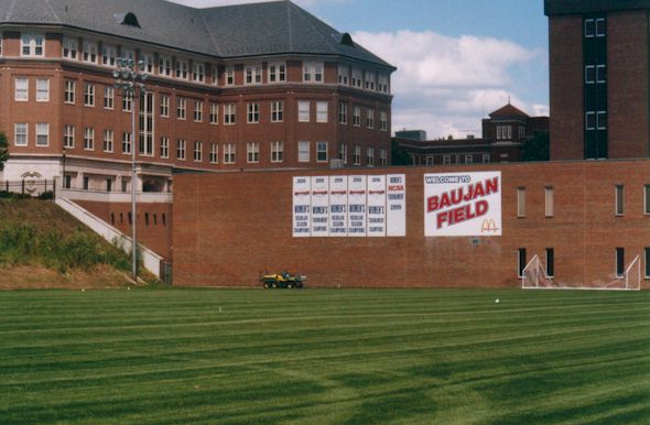 Mercer Group Turf Contractor, Our Services